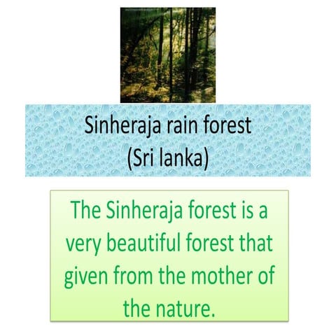 Sinheraja Rain Forest | PPTX