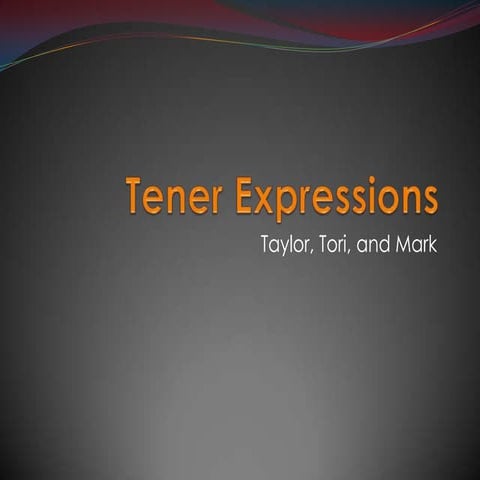 12 Expressions With the Verb TENER | Expresiones con el Verbo TENER | PDF