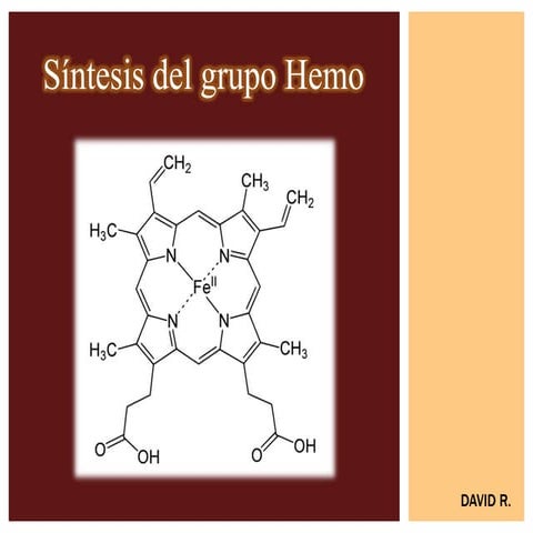 Grupo HEMO | PPTX