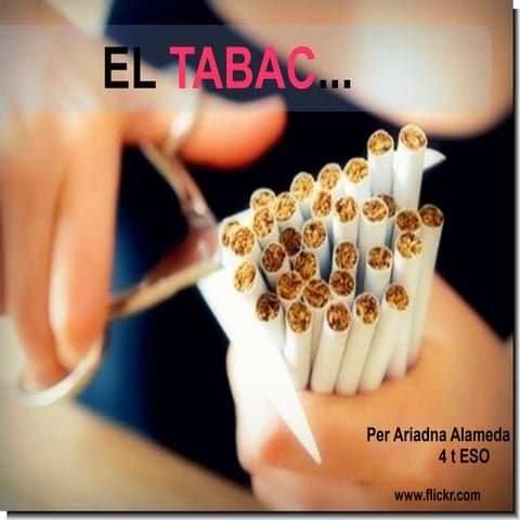 El tabac | ODP
