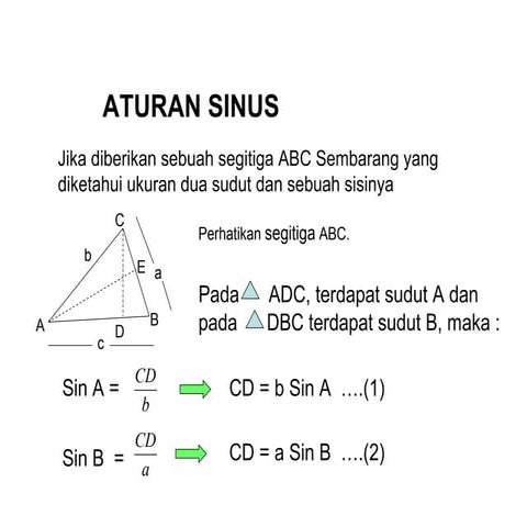 Sinus | PPT