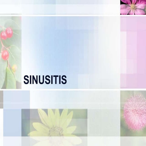 sinusitis.ppt