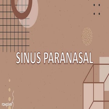 SINUS PARANASAL.pptx