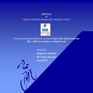 Summer Internship Project ppt (MBA) | PPTX