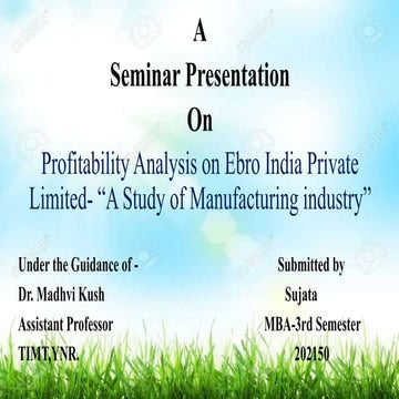 profitability analysis.pptx