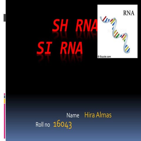 Sirna and sh rna | PPTX