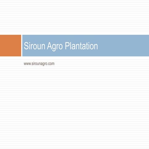 Siroun agro company profile | PPT