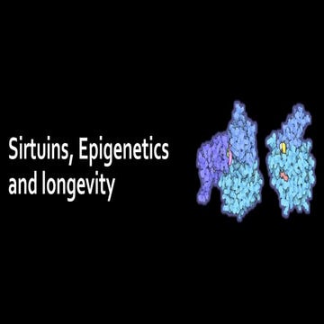 Sirtuins, epigenetics and longevity | PPTX
