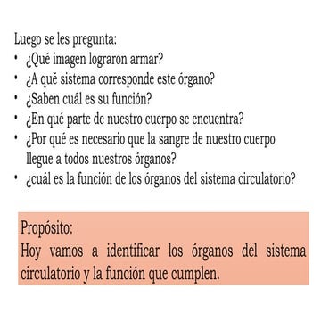 LAS PARTES DEL SER HUMANO Y LOS 5 SENTIDOS | PPTX