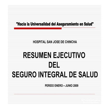 Sis Hospital San Jose Chincha Resumen Ejecutivo | PDF