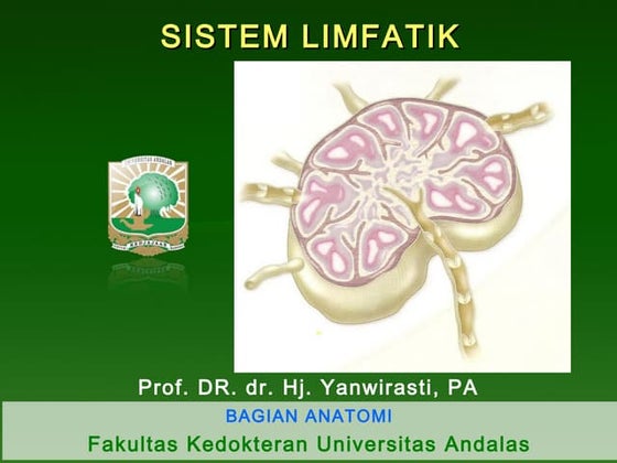 sistem-limfatik.pptx