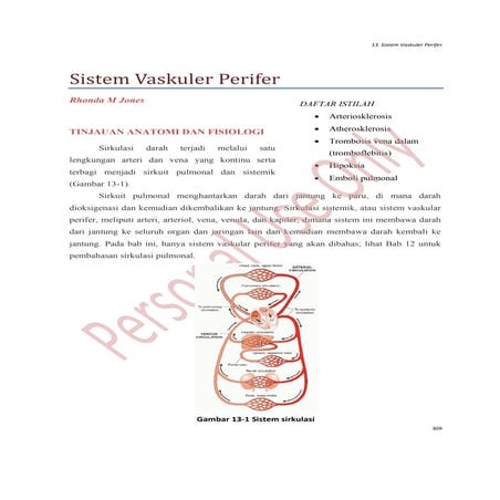 Sistem pembuluh-daraf-perifer | PDF