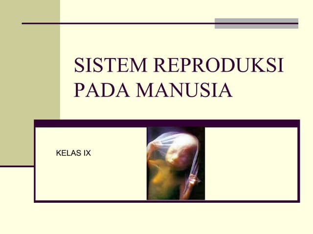BAB 1. Sistem Reproduksi Manusia (1).pptx