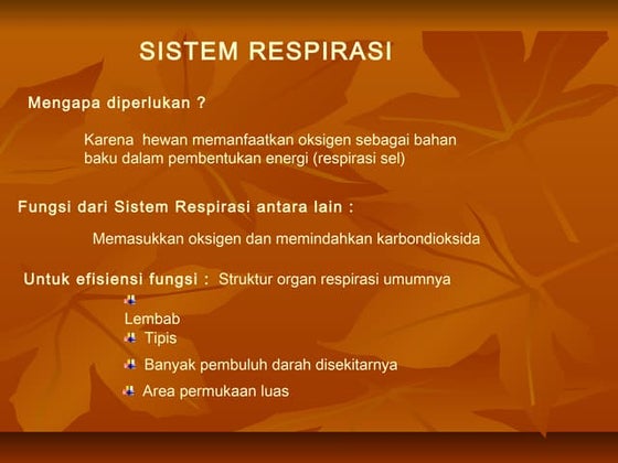 sistem pernapasan pada manusia.ppt