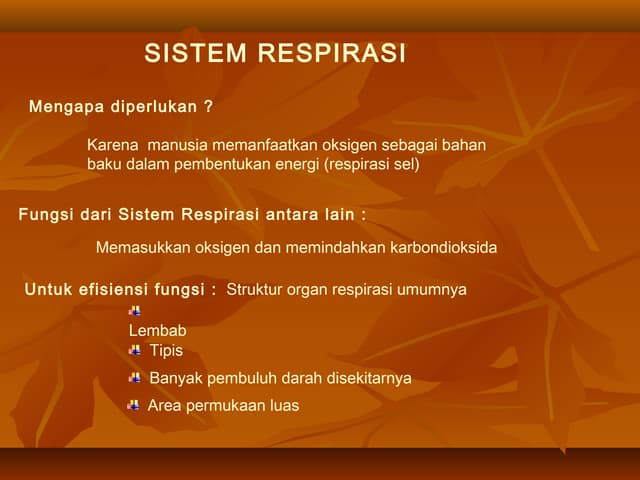 Anatomi Fisiologi Sistem Pernafasan | PPTX