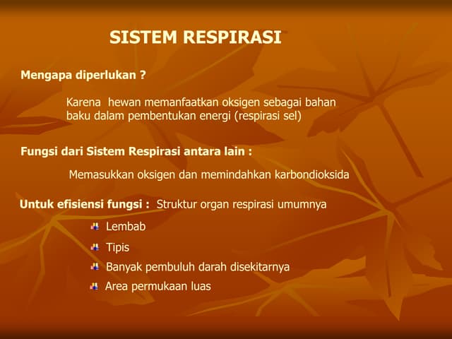 MATERI Sistem pernafasan KELAS XI SMA | PDF