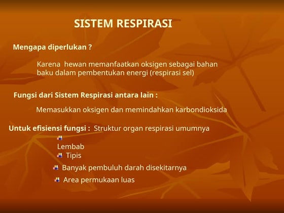 Anatomi Fisiologi Sistem Pernafasan | PPTX