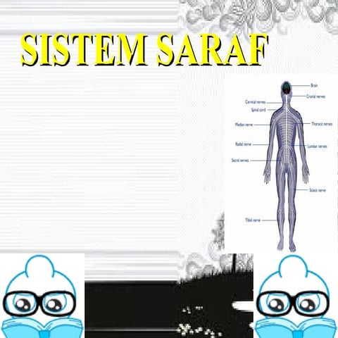 Sistem Saraf Manusia | PPT