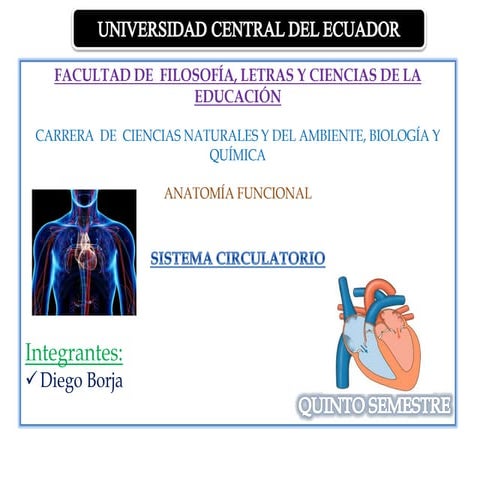 Sistema circulatorio | PPTX