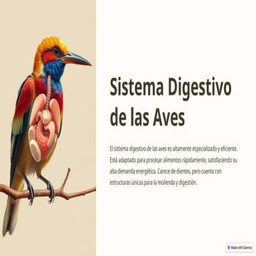Sistema-Digestivo-de-las-Aves (1).pptx aves | PPTX
