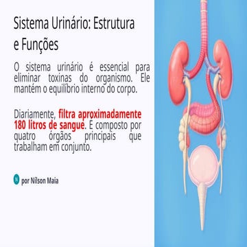 Sistema Urinário Estrutura e Funcoes.pptx