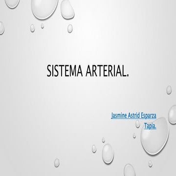 Sistema arterial | PPTX | Heart and Cardiovascular Diseases | Diseases ...