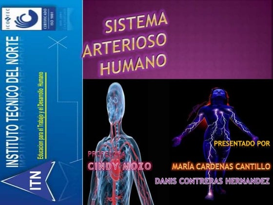 Dissecting a human body | PPTX | Medical Health