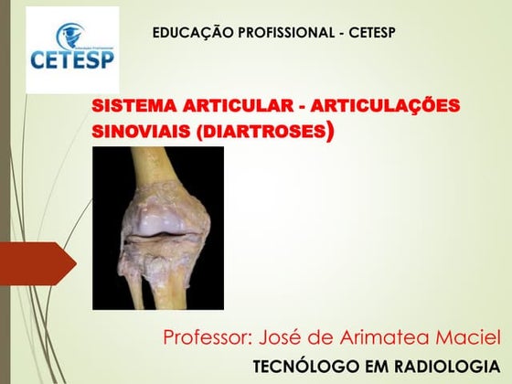 Anatomy Book - Plexo Lombossacral | PDF