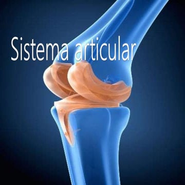Sistema articular.pptx