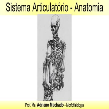 Sistema Articulatório - Anatomia.pptx