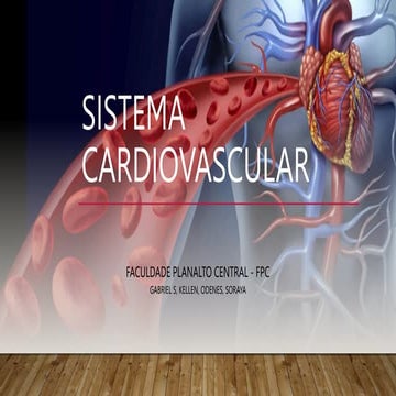 sistema cardiovascular.pptx