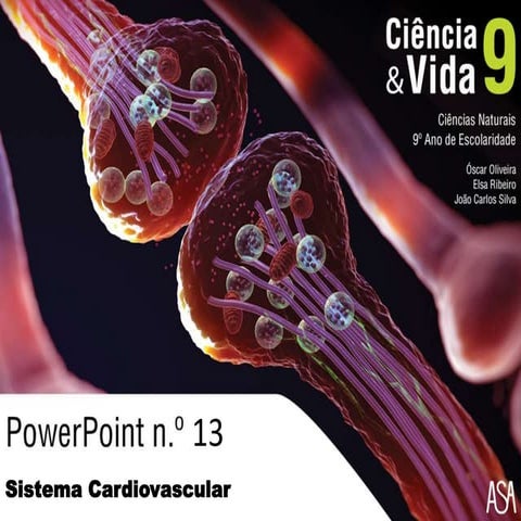 Sistema cardiovascular (cont.).pptx