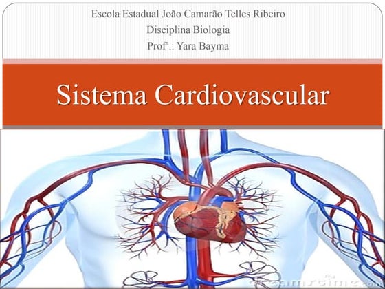 Sistema cardiovascular | PDF | Heart and Cardiovascular Diseases ...