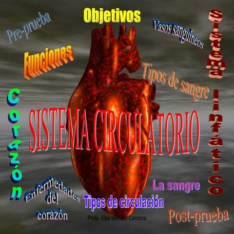 Sistema Circulatorio | PPT