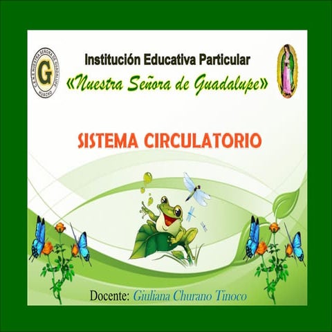 Sistema Circulatorio | PPT