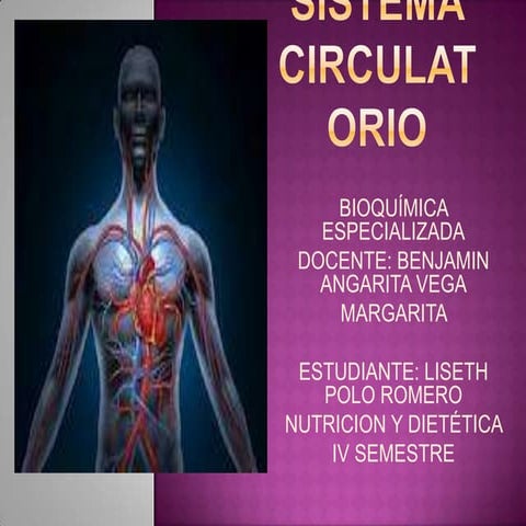 Sistema circulatorio | PPTX
