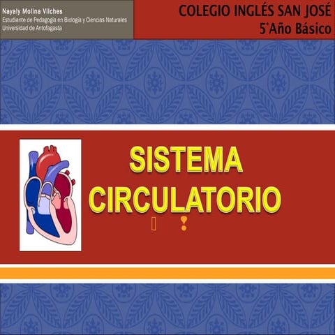 Sistema circulatorio | PPT