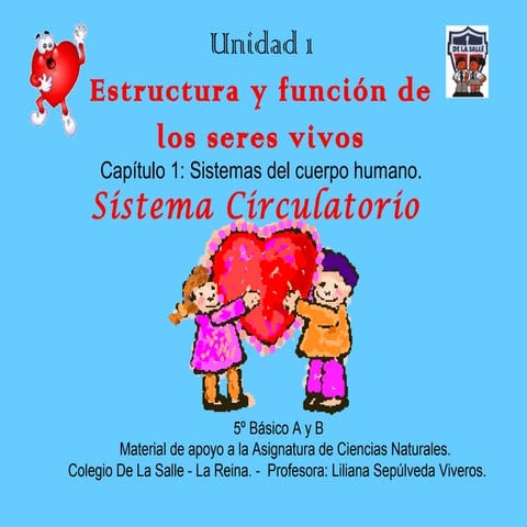 Sistema circulatorio | PPT