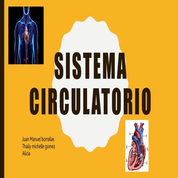 Sistema circulatorio.pptx