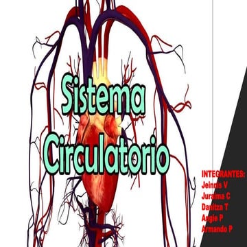 sistema circulatorio.pptx