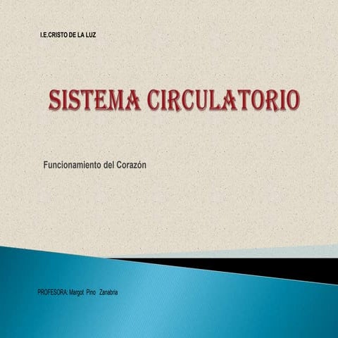 Sistema circulatorio diapositiva i | PPTX