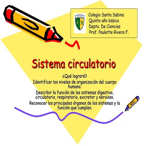 Sistema circulatorio | PPT