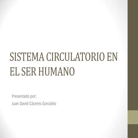 El sistema circulatorio | PPTX