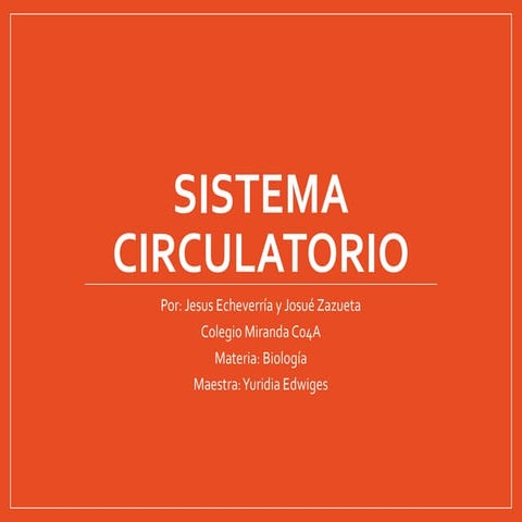 Sistema circulatorio [finalizado] (1) | PPTX