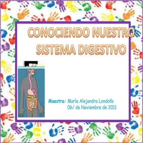 Sistema digestivo | PPTX