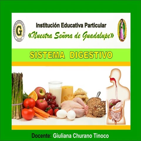 Sistema digestivo | PPT