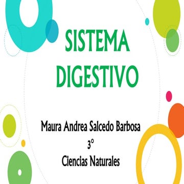 Sistema Digestivo | PPTX