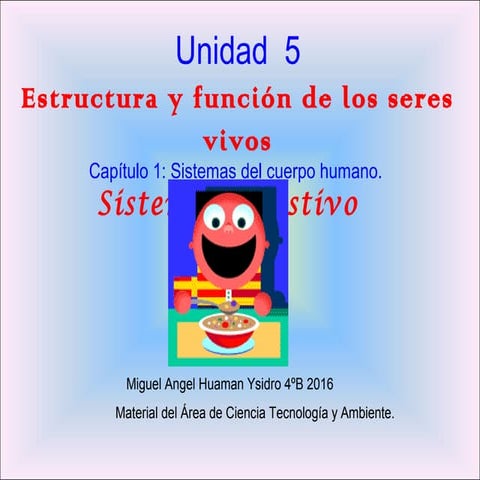Sistema digestivo humano | PPT