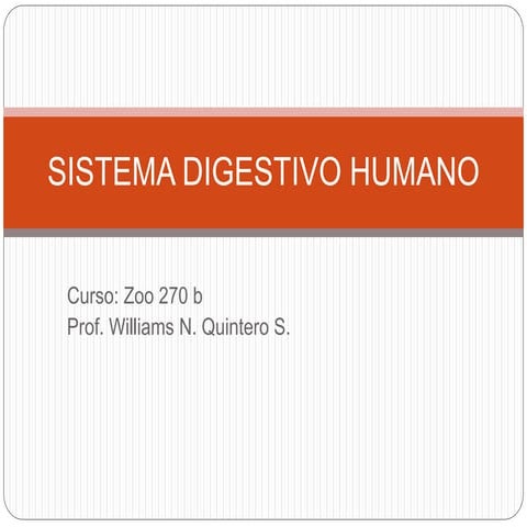 Sistema digestivo humano ppt | PPTX