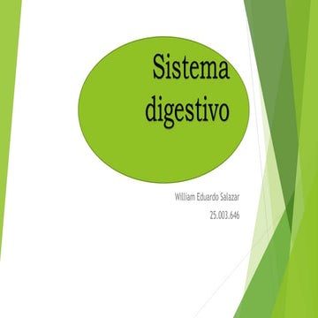 Sistema digestivo | PPTX